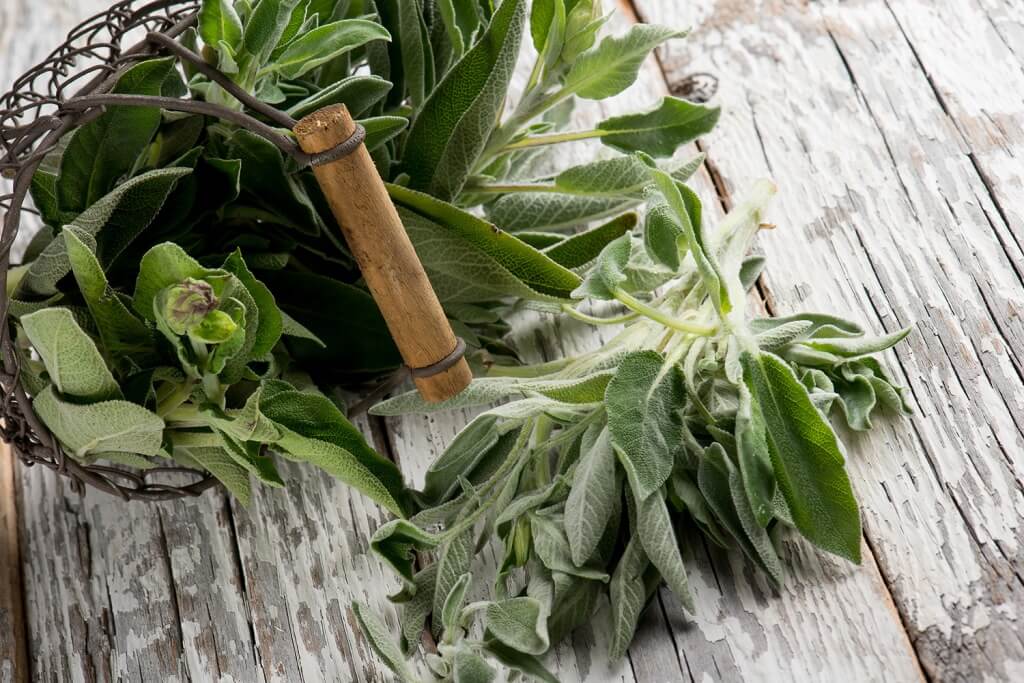 Pesto di salvia: un condimento saporito e pronto all'uso