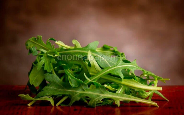 Verdure da insalata, ecco le differenti varietà oltre la lattuga