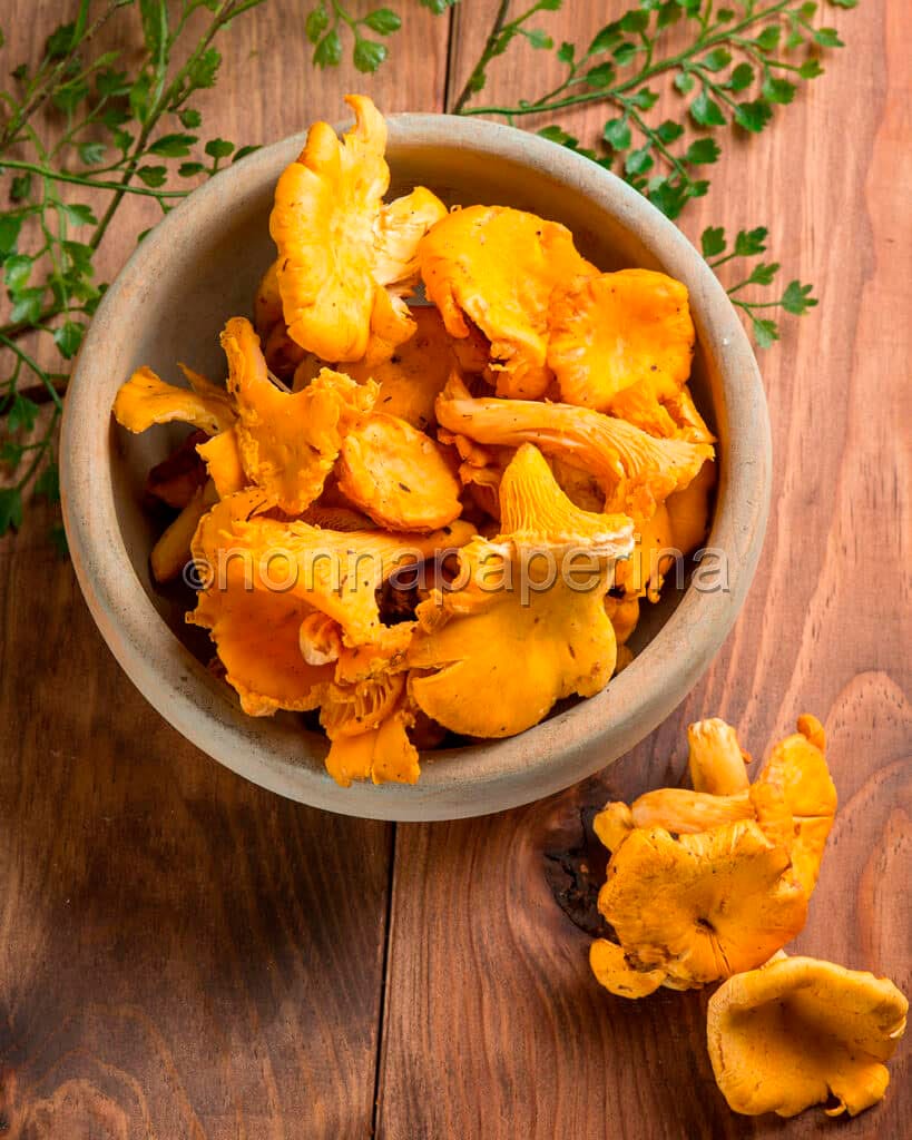 Tutto sui finferli, una varietà di funghi versatili e deliziosi