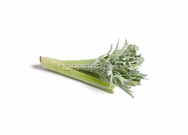 Le proprietà dei cardi, i carciofi selvatici. Ottimi per tante ricette